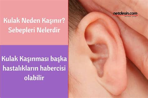 Kulak Kaşıntısının Sebepleri