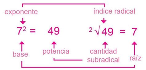 Archivo Aprendo y enseño Matemáticas 3 pag 9 CNB