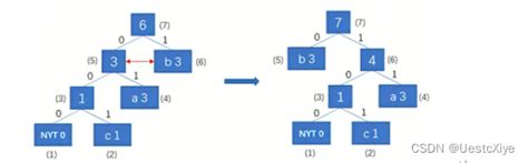 适应性哈夫曼编码（adaptive huffman coding） adaptive huffman coding csdn c csdn博客