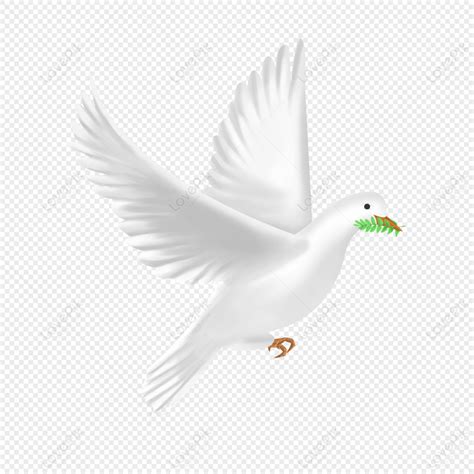 Peace Dove Png