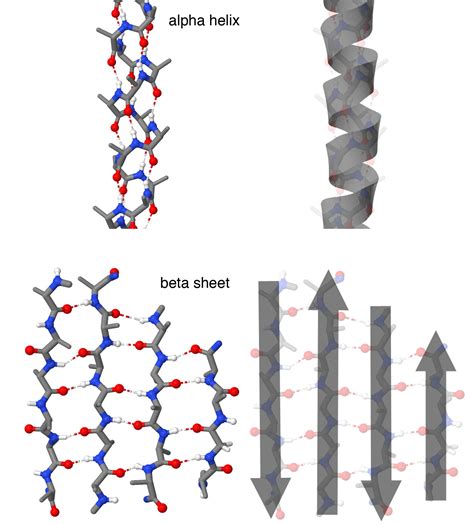 guide to understanding pdb data hierarchical structure