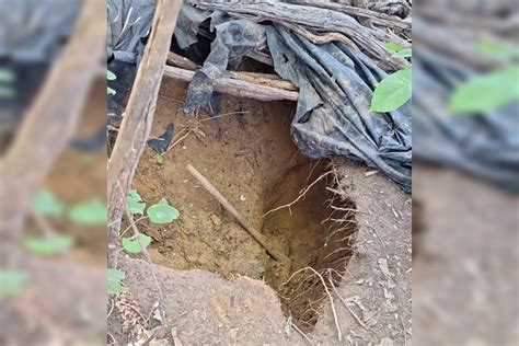 Fuga longa pela mata as semelhanças entre Mossoró e caçada a Lázaro