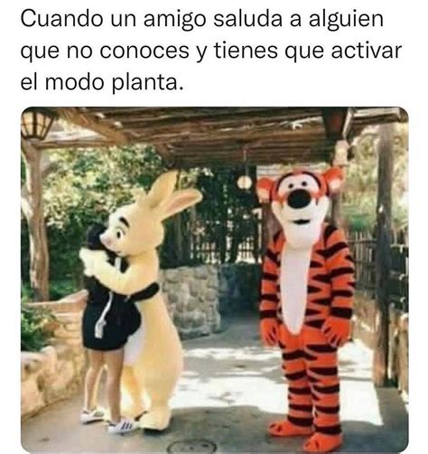 Cómo engañar a un mono Memes