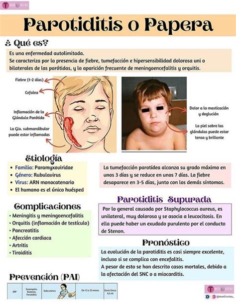 Parotiditis Sintomas Causas Factores De Riesgo Y Tratamiento Otosection