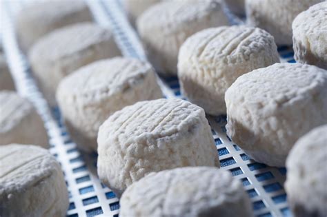 5 bonnes raisons de manger du fromage de chèvre Medisite Cheese