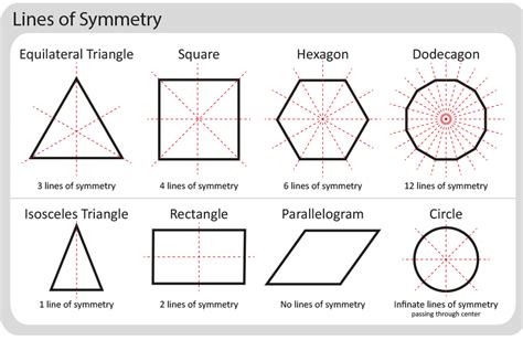 Draw All Lines Of Symmetry For The Figure