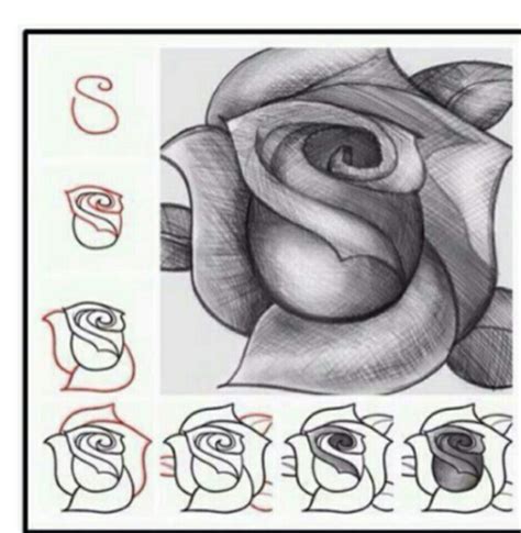 Pasos Para Dibujar Una Rosa Drawings Drawing Tutorial Cool Drawings
