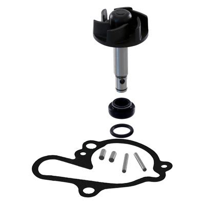 Set Révision Pompe à Eau RMS YAMAHA TZR RR 50 2005 2005 eBay