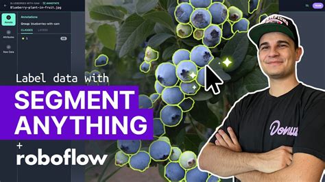 Label Data With Segment Anything Model Sam In Roboflow Youtube