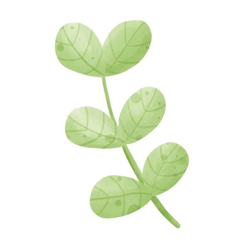 Premium Vector Green Leaf On White Background