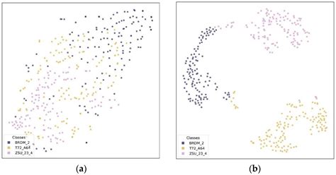 applied sciences free full text a multiscale local global feature fusion method for sar