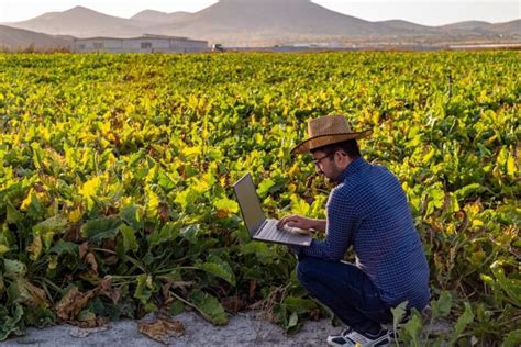 Guía completa para una agricultura sostenible técnicas y consejos