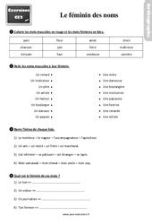Exercice Accord Du Nom Pluriels Particuliers 3eme Primaire