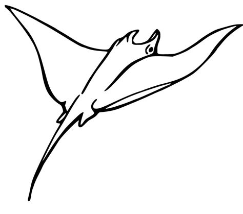 Manta Coloring Ray Pages Scuba Stingray Drawing Mantaray Duiker
