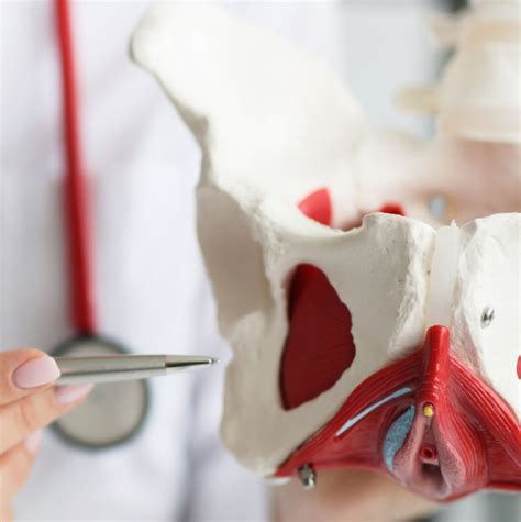 Fisioterapia de Assoalho Pélvico Agendar Novo México Fisioterapia