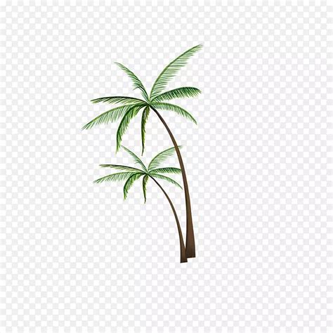 Png Png