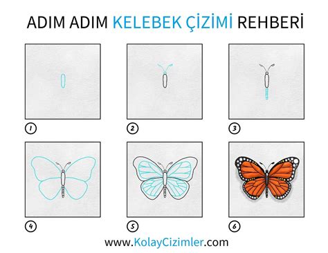 Kelebek Nasıl Çizilir Adım Adım KolayCizimler
