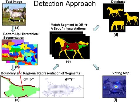 given an input image in a and its hierarchical segmentation in b download scientific