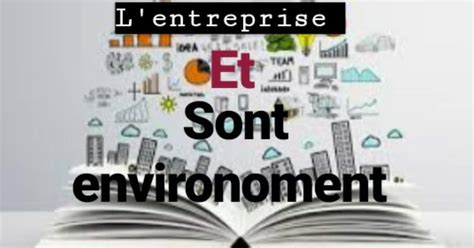 Chapitre Lentreprise Et Son Environnement Tex