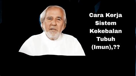Bagaimana Cara Kerja Sistem Kekebalan Tubuh Cara Kerja Sistem Imun