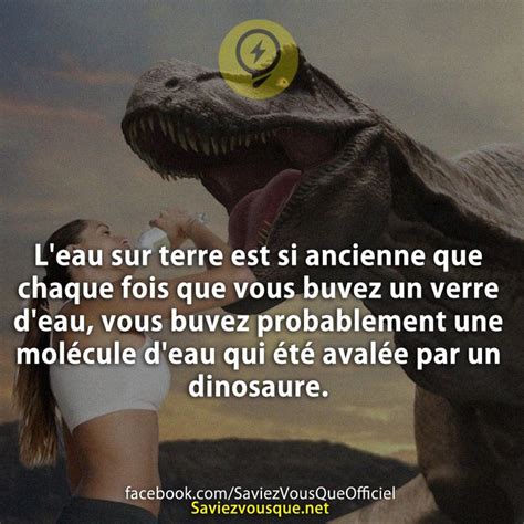 Leau Sur Terre Est Si Ancienne Que Chaque Fois Que Vous Buvez Un Verre