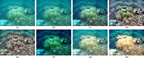 Figure 10 From Single Underwater Image Restoration Based On Depth