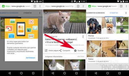 C Mo Guardar Y Organizar Tus Fotos Favoritas Con Google Im Genes
