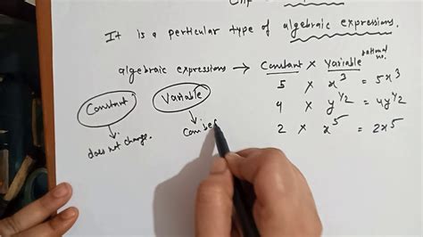 class 9 polynomial introduction youtube