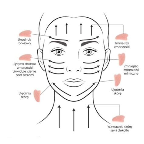 Jak Wykona Masa Twarzy W Domu Z Mask Arganow Swiss H O Krok Po Kroku