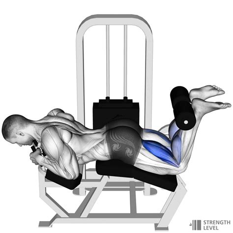 Curl femoral tumbado Estándares para hombres y mujeres kg