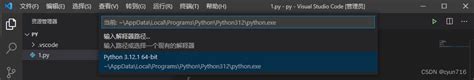 vs code 配置python环境以及代码补全提示 vscode配置python自动补全 csdn博客