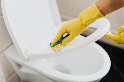Como Limpar Banheiro Um Guia Para Otimizar Sua Faxina Tutoreira