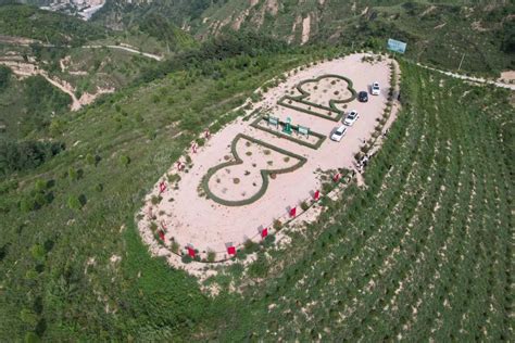 陕西延长国家储备林基地在黄土高原储备绿色资源 澎湃号媒体 澎湃新闻 The Paper