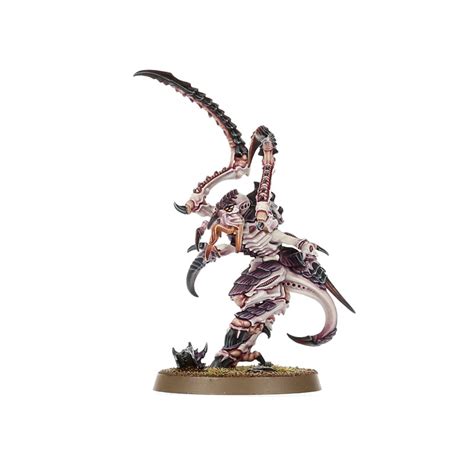Caja De Inicio Definitiva De Warhammer 40 000 Miniset Net
