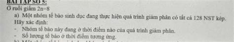 Ở ruồi giấm 2n 8 a Một nhóm tế bào sinh dục đang thực hiện quá