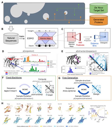 overview a illustration of protein sequence space natural sequences download scientific