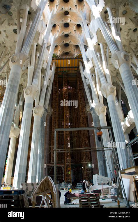 Interior view of Barcelona s Sagrada Família Stock Photo Alamy