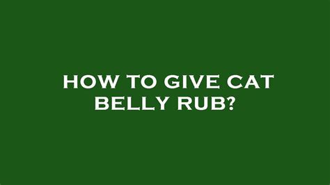 How To Give Cat Belly Rub Youtube