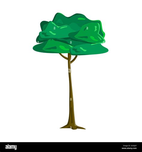 Realistic Green Old Tall Tree Isolated On White Background Vector