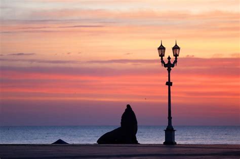 Mar del Plata se puede ser feliz también en invierno Voy por Argentina