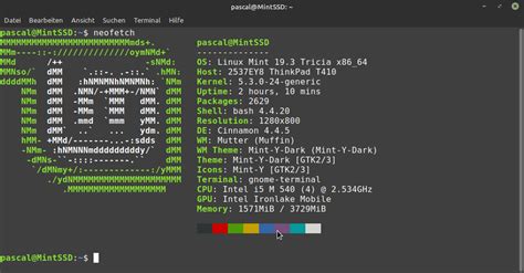 Neofetch Windows