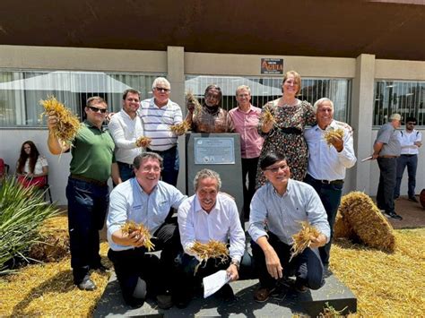 Dia do Plantio Direto celebra técnica revolucionária para a agricultura