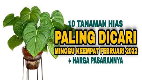 10 Tanaman Hias Paling Dicari Di Minggu Ke Empat Bulan Februari 2022