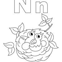 Desenho De Passarinhos No Ninho Para Colorir Tudodesenhos