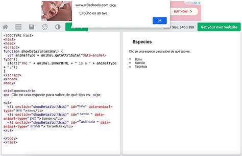 Qu Es Html Y C Mo Utilizarlo Gu A Para Principiantes