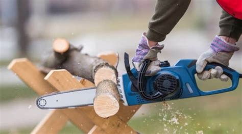 12 Different Types Of Wood Cutting Tools And Their Uses In 2025