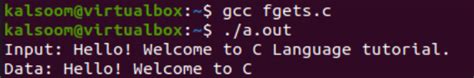 fgets function in c