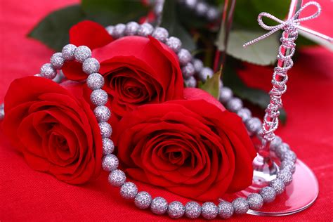 Beautiful Red Rose Wallpapers Wallpaper Cave