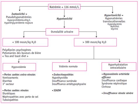 Hyponatr Mie Et Hypernatr Mie Flashcards Quizlet