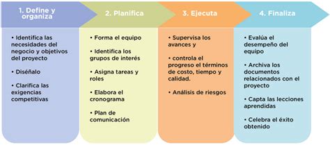 Proceso De Administraci N De Proyectos Desarrollo Organizacional